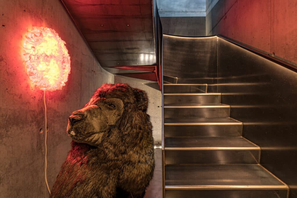 Art and architecture. - Peter Fell