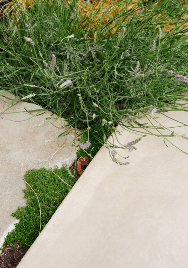Colour match your concrete. - Peter Fell